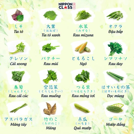 Từ vựng về các loại rau