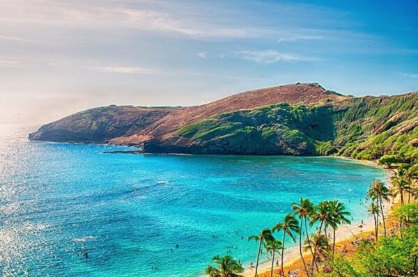 HƯỚNG DẪN CHI TIẾT CÁCH XIN VISA ĐI HAWAII TỪ NHẬT BẢN